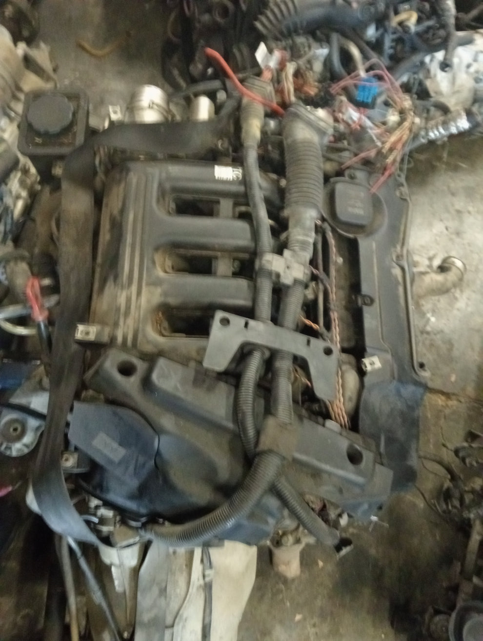 Bmw 30 6D 2 Engine – ROJAN ENGINES & GEARBOXES